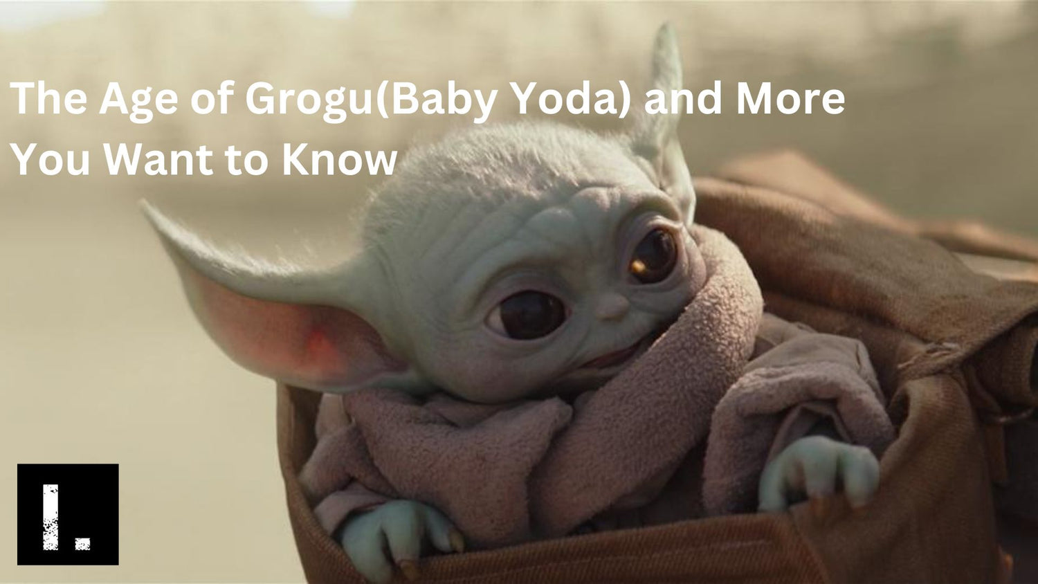 The Age of Grogu(Baby Yoda) and More You Want to Know – isabers